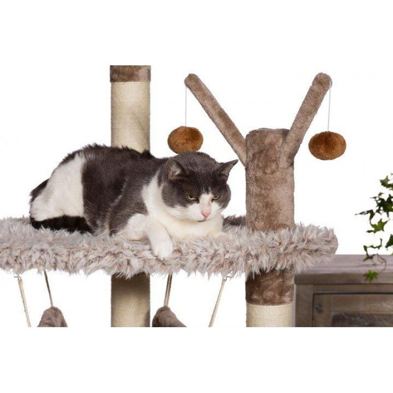 Stylish Cat Climbing Tree with Hammock