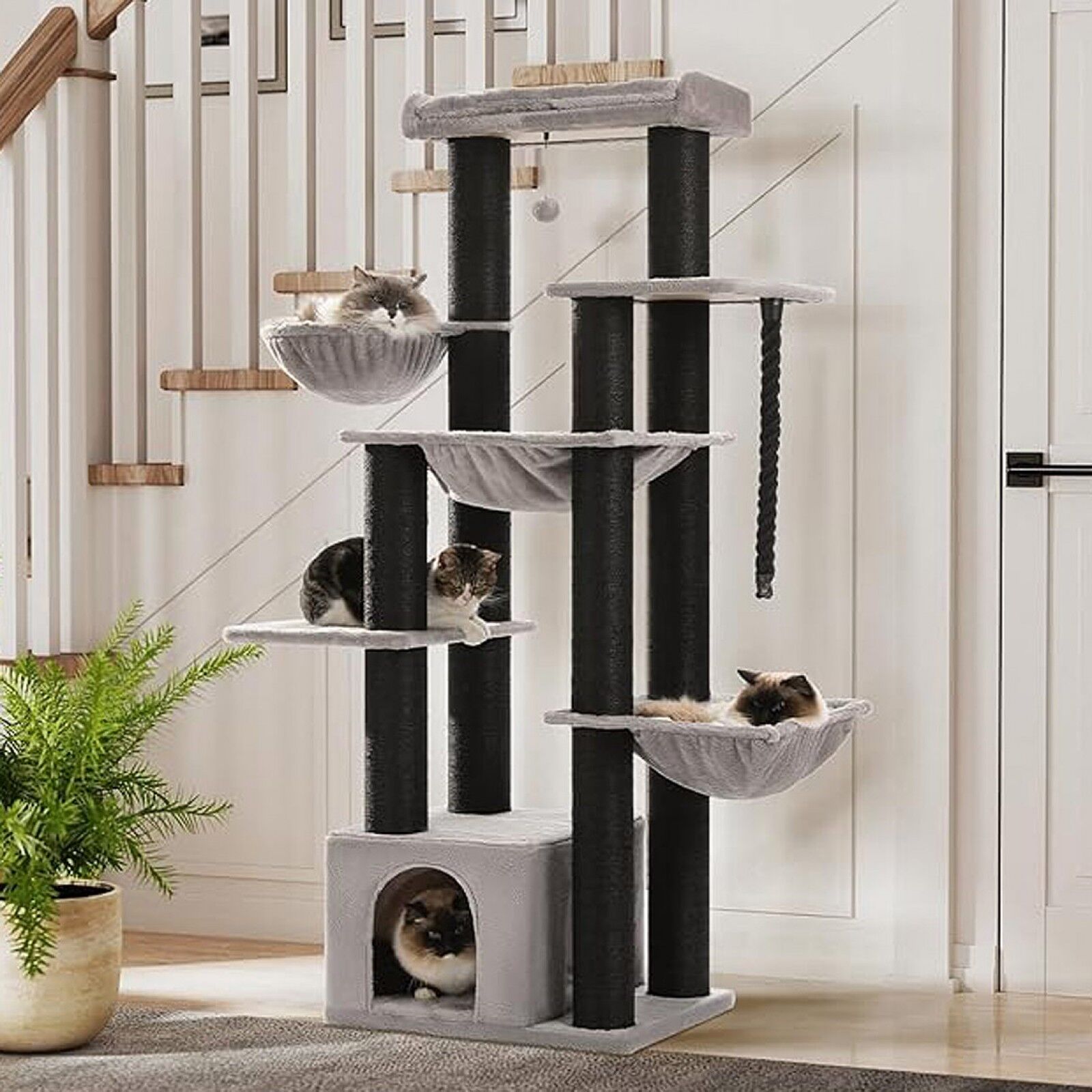 Deluxe Maine Coon Cat Condo with Two Hammocks