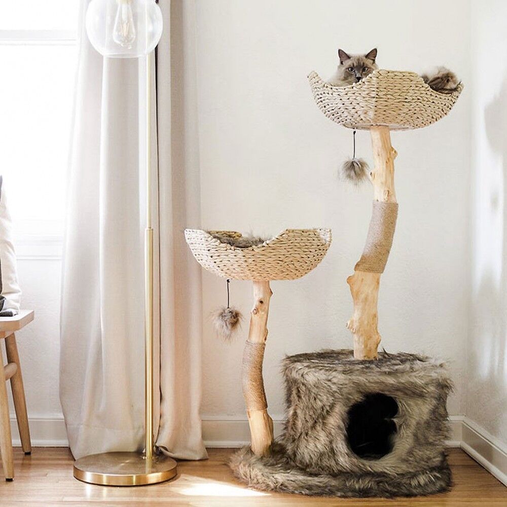Solid Wood Cat Trees & Condos: Heavy Duty Cat Playgrounds